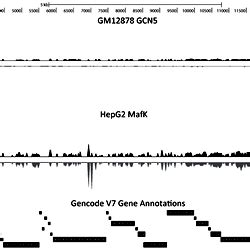Representative USCS Genome Browser Snapshots Of Nuclear Transcription Factor ChIP Seq Datasets