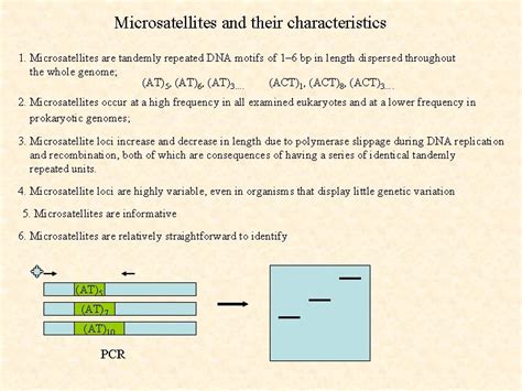 Microsatellite Mutations And Inferences About Human Demography Microsatellites