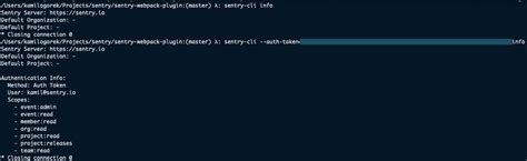 Can T Log In With Flag Auth Token It Has No Effect Issue Getsentry Sentry Cli GitHub