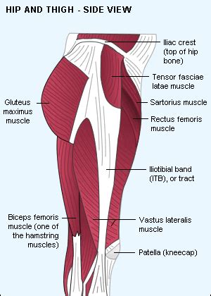 Ventrogluteal Self Injection