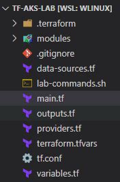 Terraforming AKS At The Speed Of Cloud Native Engineering Clouds