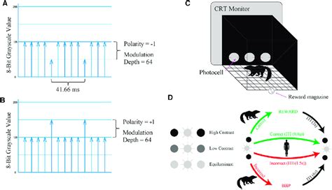 Examples Of Visual Flicker Stimuli And Experimental Procedure A Download Scientific Diagram