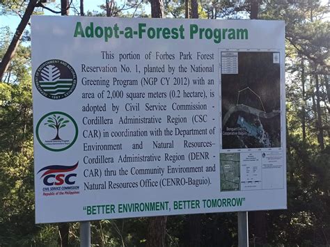 Csc Regional Office Car