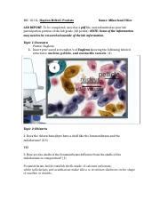 1LAB REPORT Protists 1 Docx BSC 1011L Hayden McNeil Protists Name Mikerland Vilier LAB