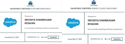Srividya K On Linkedin I Am Happy To Announce That I Cleared The Salesforce Developer 1… 16