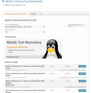 Understanding The Difference Between SQL And MySQL