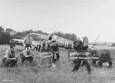 15 28th Fighter Squadron Photos And High Res Pictures Getty Images