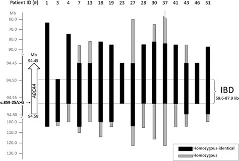 founder haplotype analysis for c 859 25a g in 16 homozygous probands
