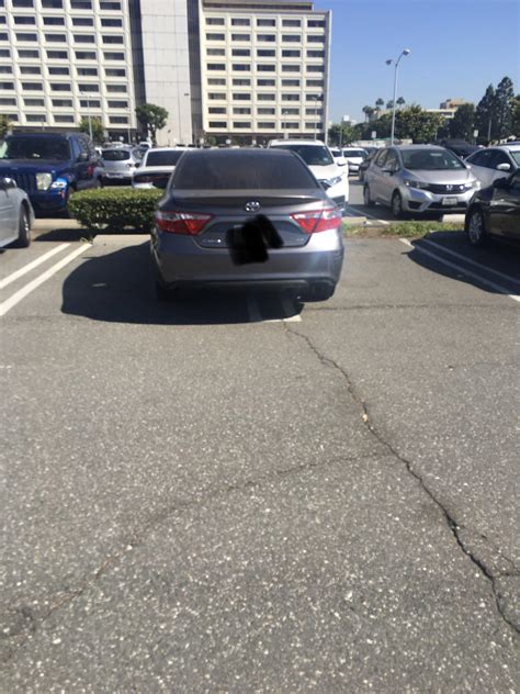 1253 Best R Csuf Images On Pholder It Is With Great Pleasure I Present To You Good News