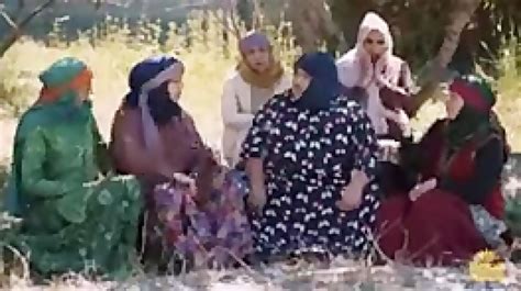 کلیپ حامد تبریزی، سلطان‌ دور باش