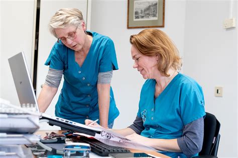 Classificatiemodellen Wat Is De Nursing Intervention Classification Nic Nursing Nl