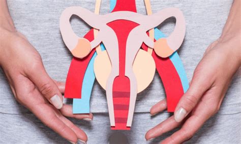 Low Amh Treatment In Delhi Dr Roshi Satija Fertility Specialist