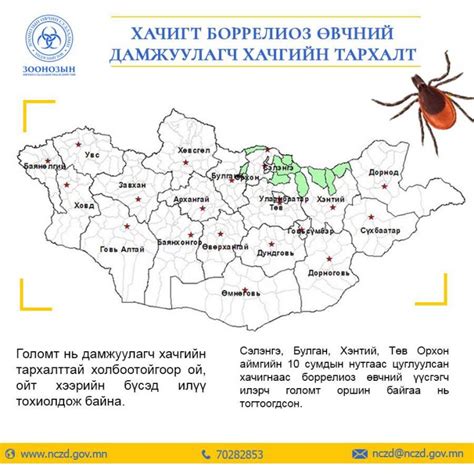 Хачгийн халдварын сэжигтэй 55 тохиолдол бүртгэгджээ News Mn