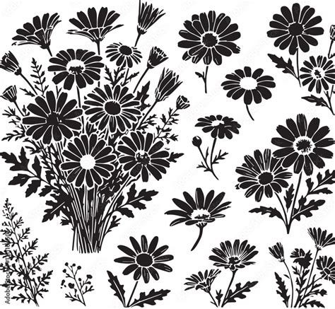 Black Color Daisies Silhouette Vector Illustration Solid White