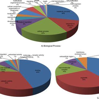 Functional Classification Distribution Of Gene Ontology Terms For The Download Scientific