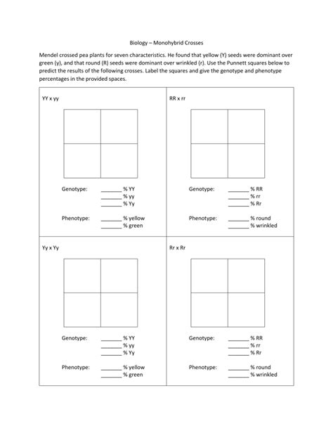 Monohybrid Crosses Worksheet