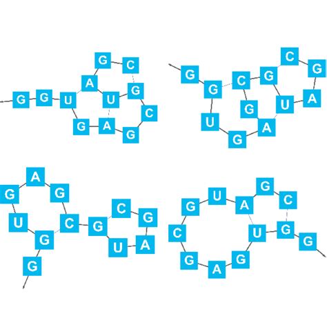 Generate Bonds In Rna Sequences Wolfram Resource Object