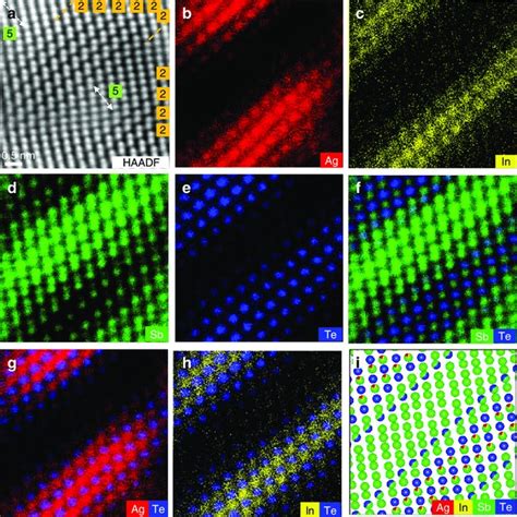 Shen Jiabin Shanghai Fudan University Shanghai School Of