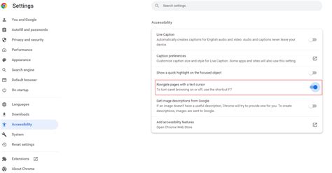 How To Disable Blinking Text Cursor In Chrome TL Dev Tech