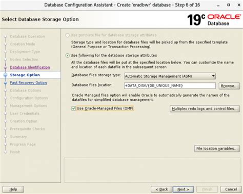 Step By Step Guide To Install Oracle 19c Rac Installation Using