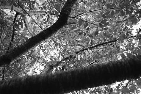 48 Hours Disconnected • Steve Simkins