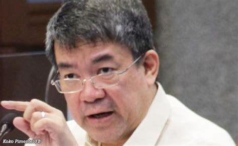 Amoy Pork 75 Of Dpwhs Budget ‘lump Sum Allocations Pimentel