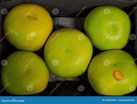 Large Citruc Pummelo A Wonderful Healthy Tropical Citrus Food Stock