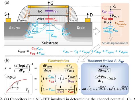 Spatially Resolved Steadystate Negative Capacitance In