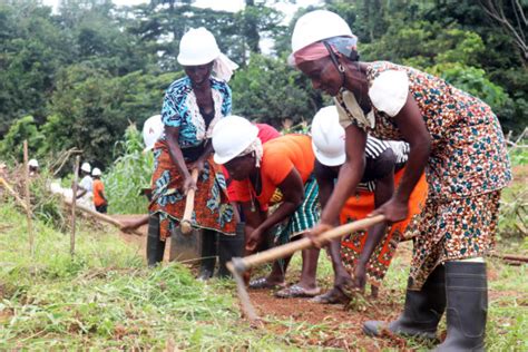 Gender Responsive Due Diligence Gender Responsive Due Diligence