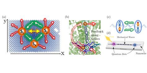 From Non Markovian Dissipation To Spatiotemporal Control Of Quantum Nanodevices Quantum