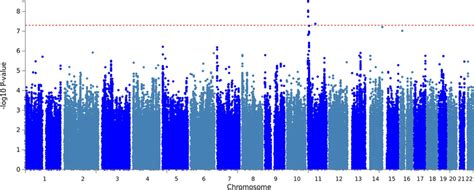 manhattan plot manhattan plot of log 10 p values vs snp position for