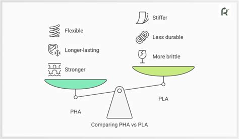 Pla Vs Pha Which Bioplastic Is Best For Sustainable Packaging Needs