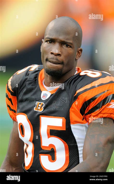 Ochocinco Barstool Interview At Edward Gratwick Blog