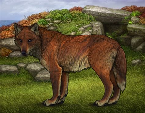 ℛ𝓊𝓈𝓉𝓎 Wolvden