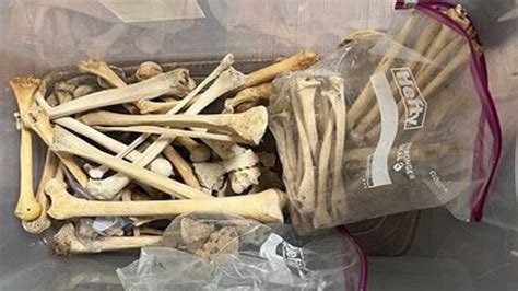 ماجرای زنی که قسمت‌های مختلف بدن مرده‌ها را می‌فروخت عکس