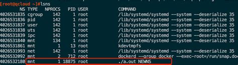容器化技术之linux Namespace 学海无涯，行者无疆