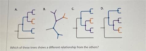 Solved Which Of These Trees Shows A Different Relationship Chegg Com