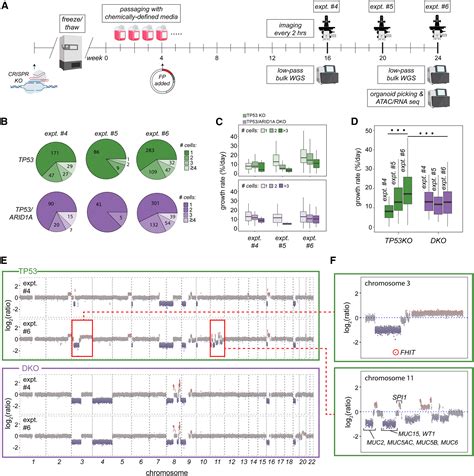 A Microwell Platform For High Throughput Longitudinal Phenotyping And