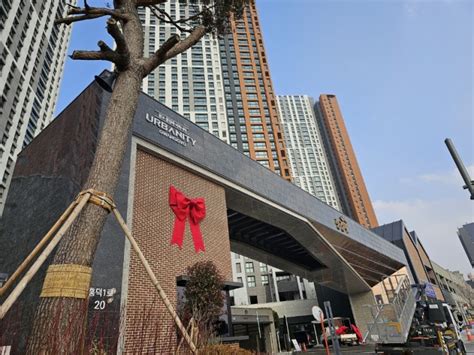 디자인센스 광교 풍경채어바니티 초대형리본 초대형꽃 리본장식 풍경채 아파트 상자제작 크리스마스장식 선물상자 에바폼플라워 박스 대형리본 페이퍼플라워 안산 조명숙플라워 자이언트