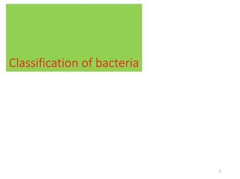 Classification Of Bacteria Pptx