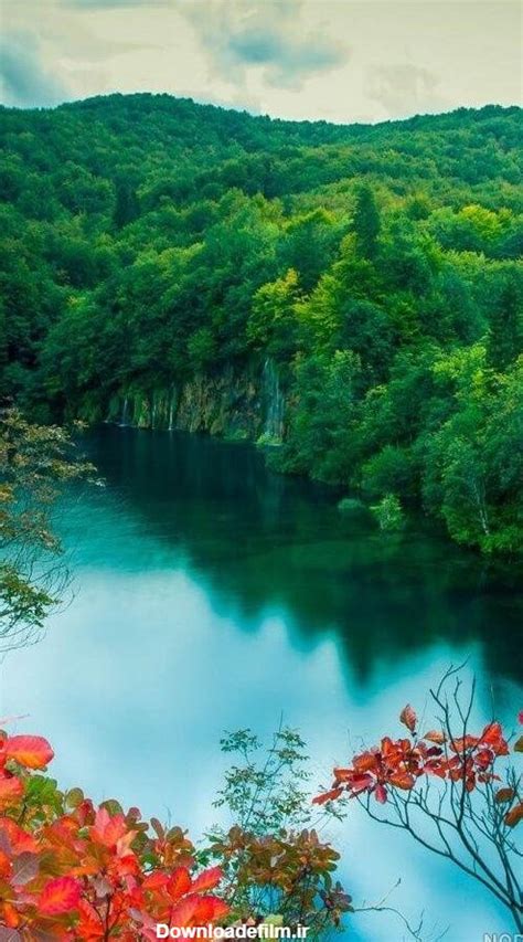 والپیر های زیبا از طبیعت با کیفیت بالا برای پس زمینه گوشی با ابعاد