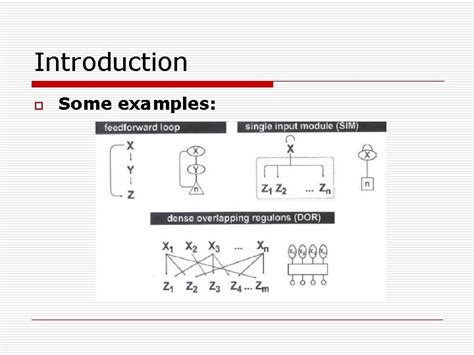 Network Motifs Simple Building Blocks Of Complex Network