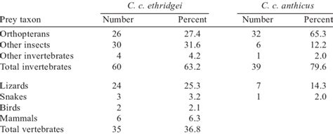 Prey Records Of Coluber Constrictor Etheridgei And Coluber Constrictor