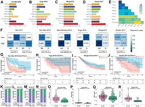 Identification Of A Novel Immune Signature For Optimizing Prognosis And Treatment Prediction In
