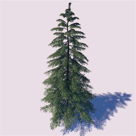 Yellow Cypress Tree 3d Model 9 3ds C4d Fbx Obj Free3d
