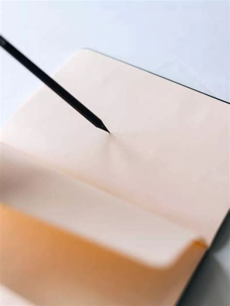 Best Spirited Away Quotes From The Japanese Movie