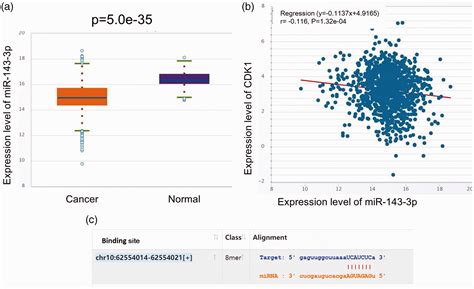 Microarray Data Reveal Potential Genes That Regulate Triple Negative