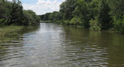 Lazy F Guest Ranch Smiley TX Where The Trails Are