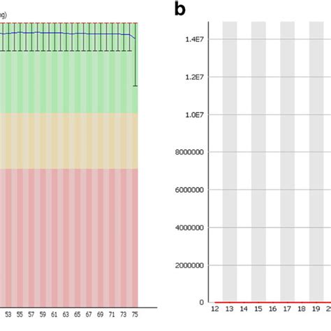 Summary Of Fastqc Output For First Sample In Dataset Wistar 1 Mate 1