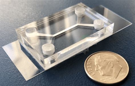 Microphysiological Systems Advanced Biosystems For Neuroengineering Laboratory